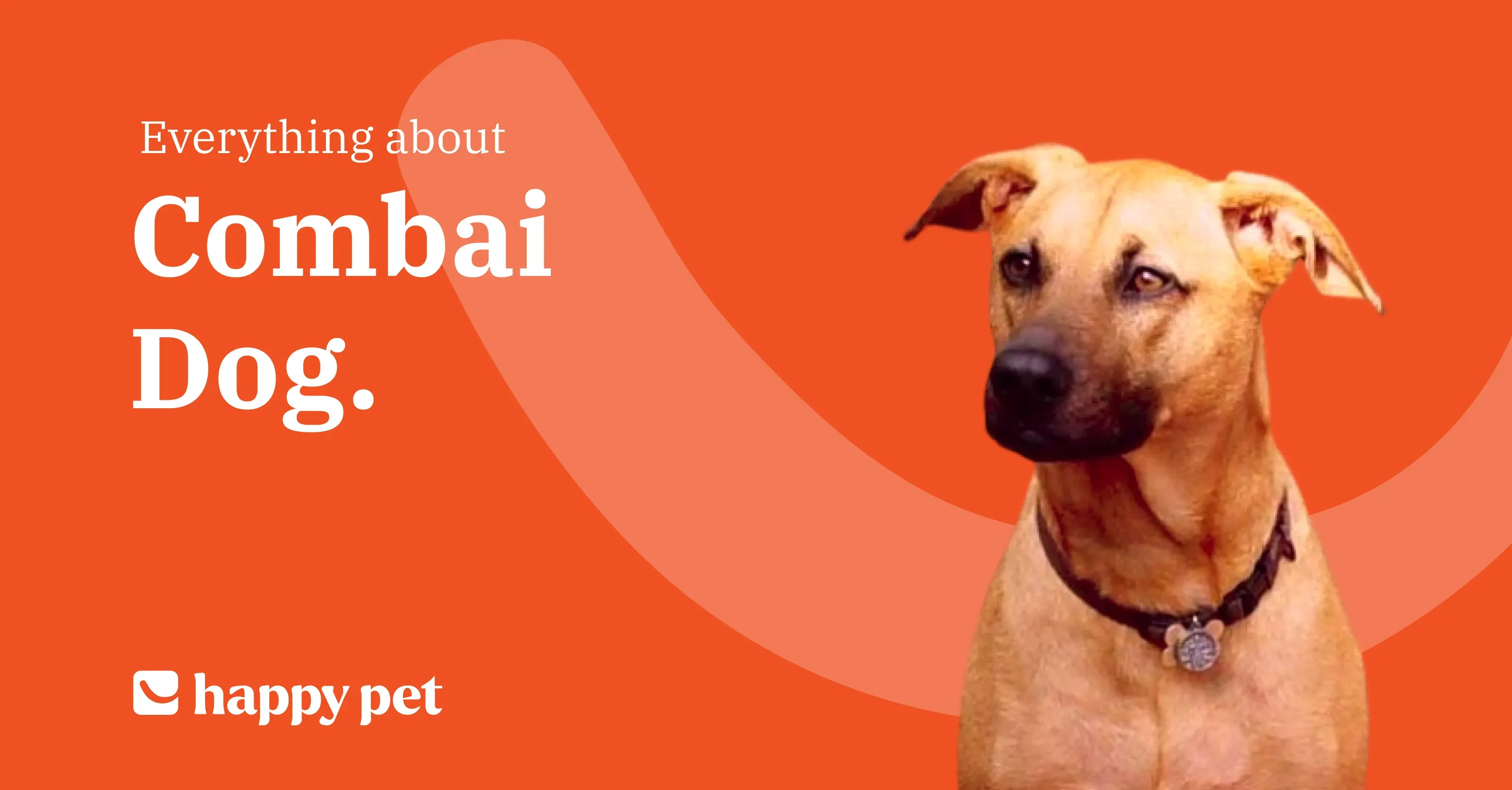 Kombai or Combai Dog - Dog Breed Information | Happy Pet