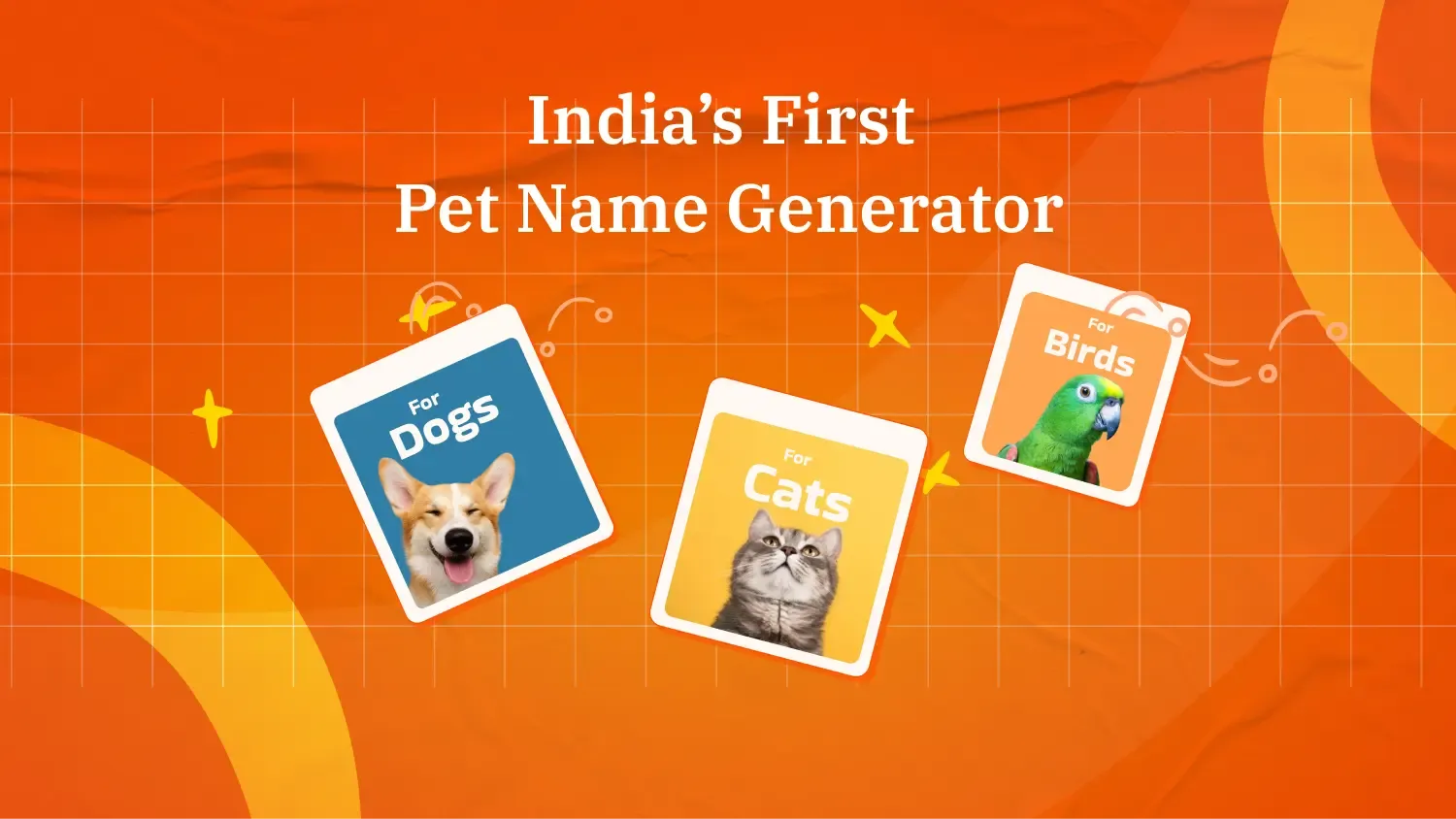Best Pet Names for Dogs, Cats, and Birds | Pet Name Generator